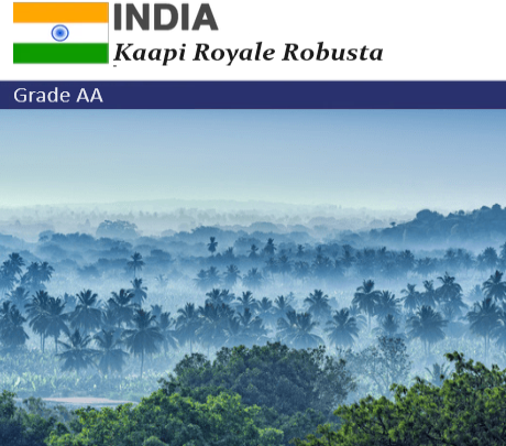 INDIA KAAPI ROYALE ROBUSTA AA – Tall Texan Coffee Company